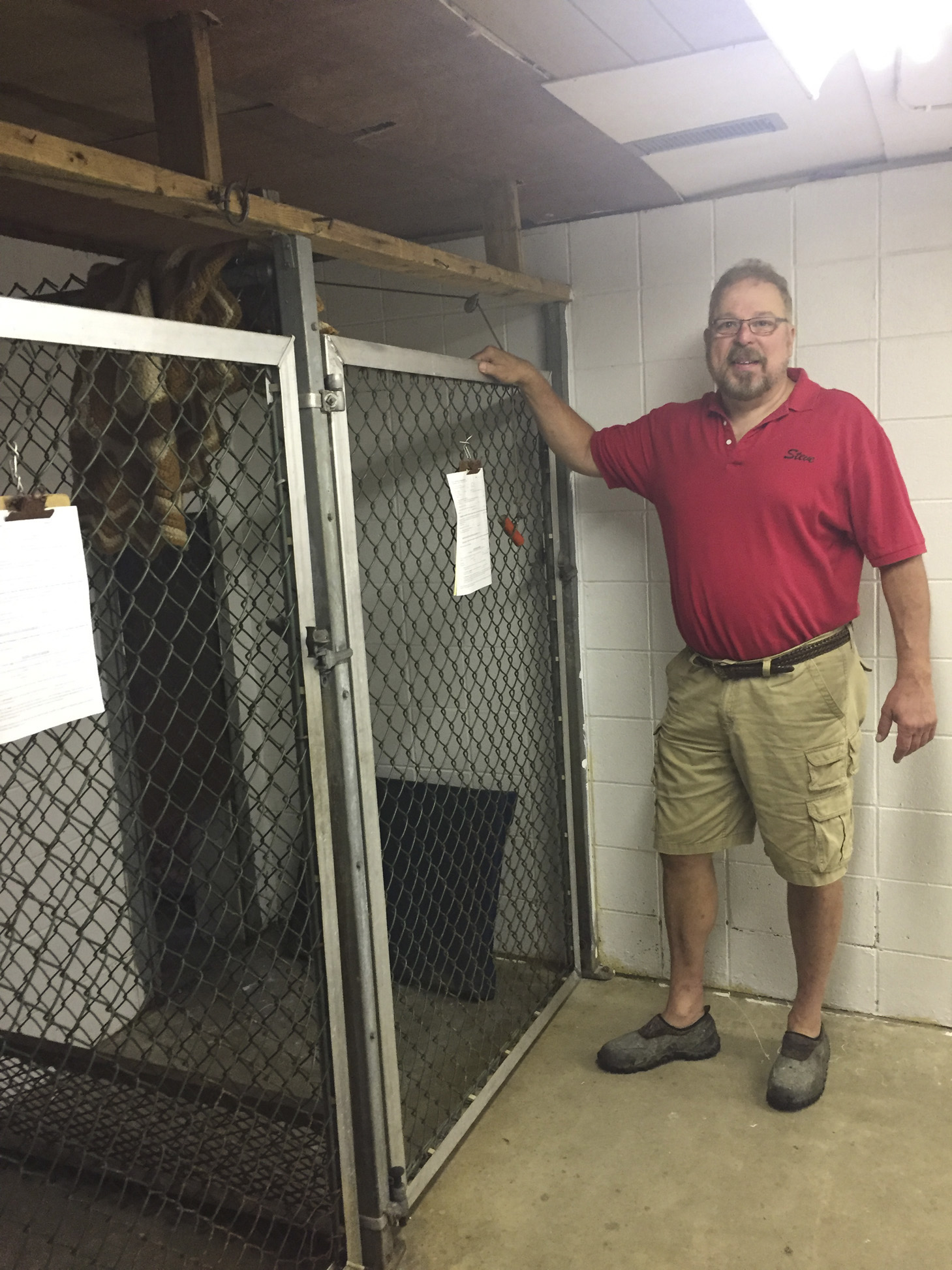 City pound a temporary stay | News, Sports, Jobs - Observer Today